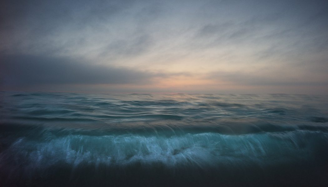 Blue Minds exhibition: scientists and artists join together to save our ...