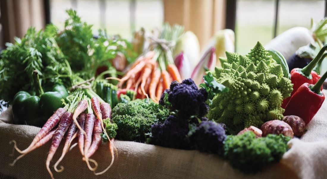 August Bernstein - Tempus Magazine