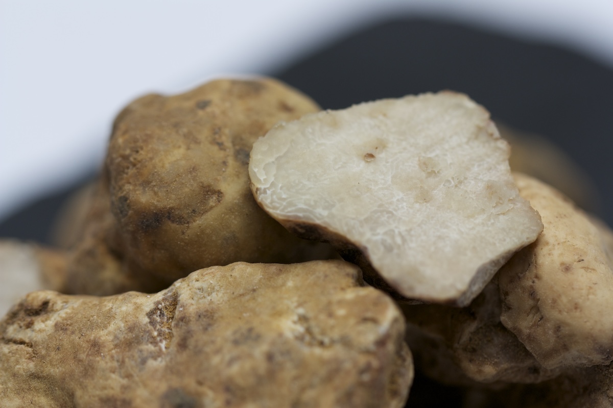 White Gold: How white truffles became the ultimate luxury delicacy ...