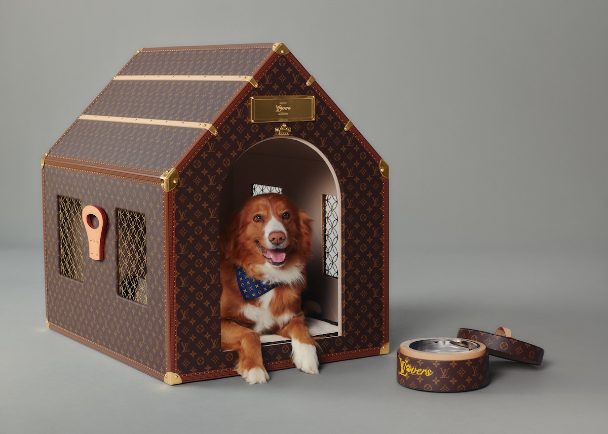 Prestige pets: Luxury brands elevating pet care for designer dogs ...