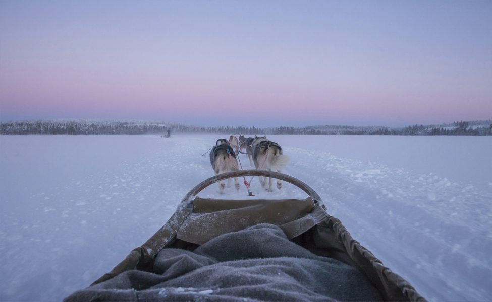 Immerse yourself in the ultimate Christmas experience with this luxury ...